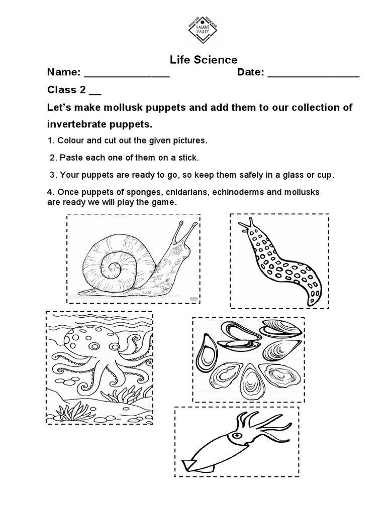 Molluscs Cut and Paste Sheet. | PDF