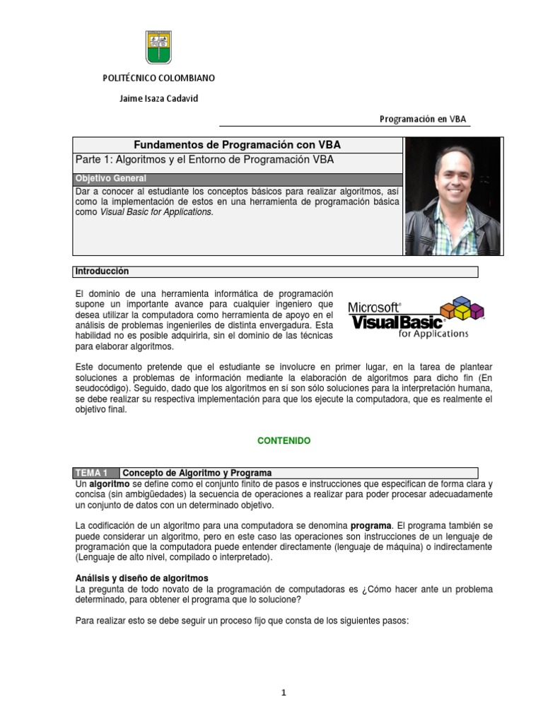 Fundamentos de Programacion Con VBA 01 | PDF | Algoritmos | Lenguaje de programación