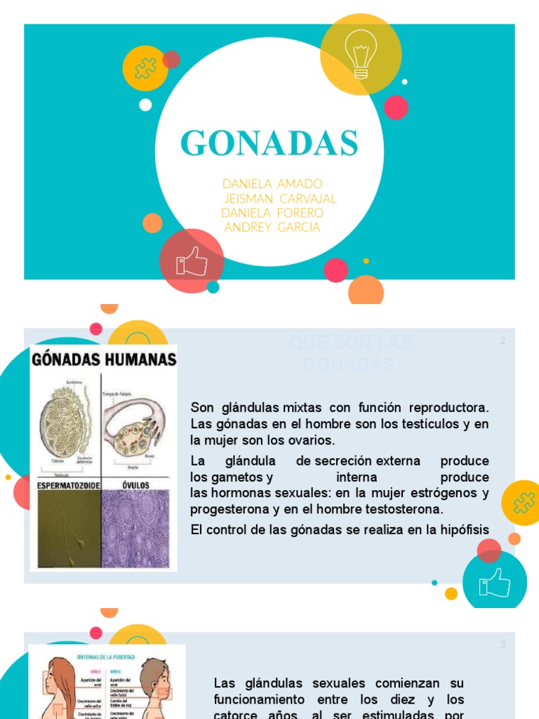 Gonadas y Hormonas | PDF | Hormona luteinizante | El embarazo