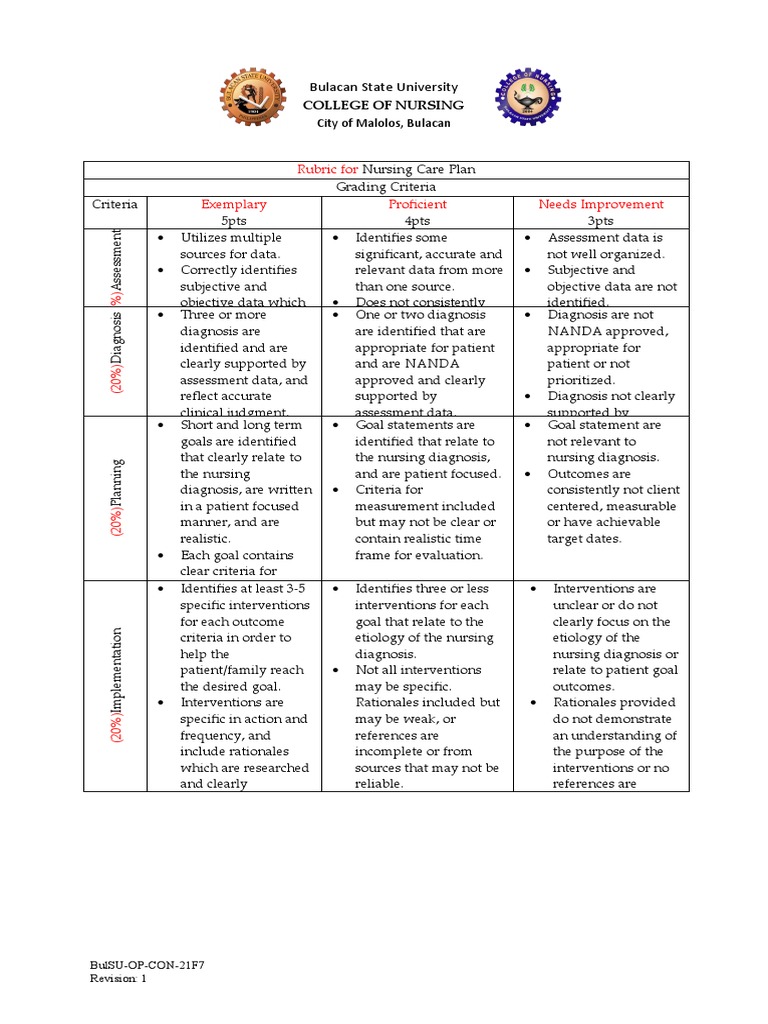 Rubric For Nursing Care Plan | PDF | Goal | Nursing