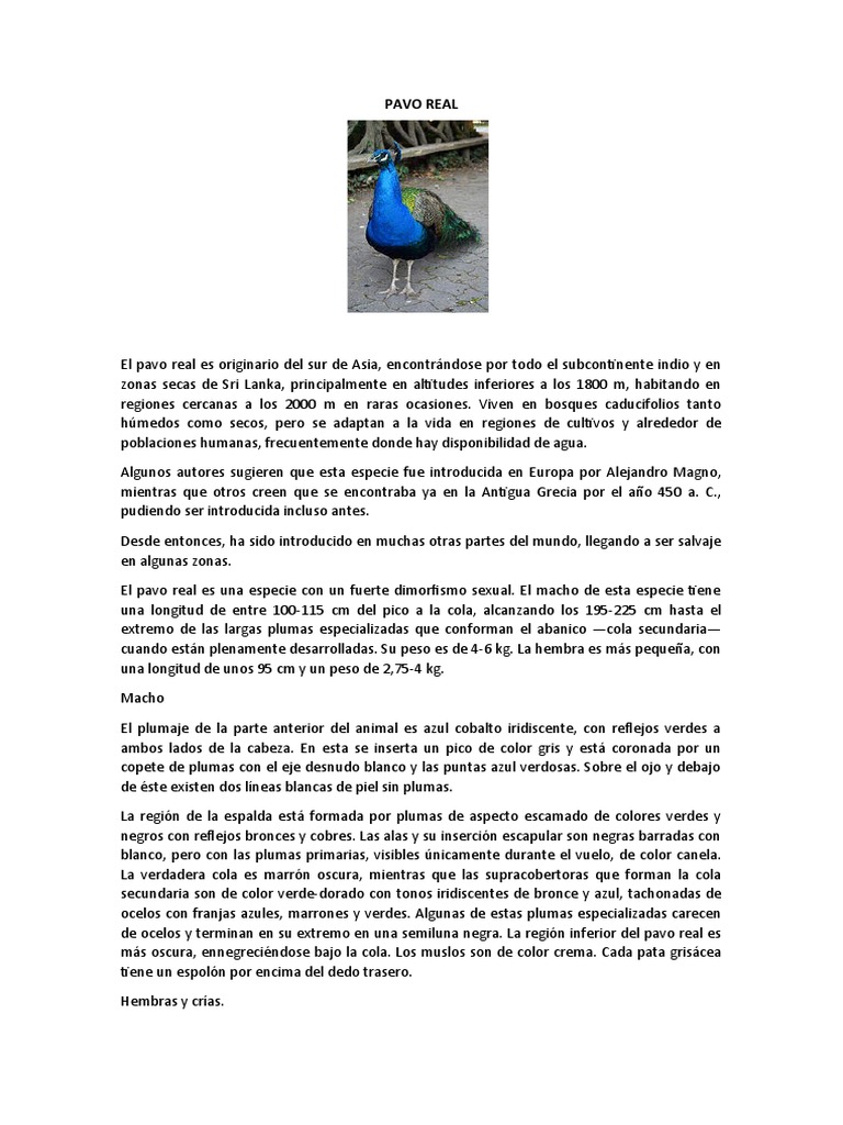 Pavo Real | PDF | Dinosaurios | Aves