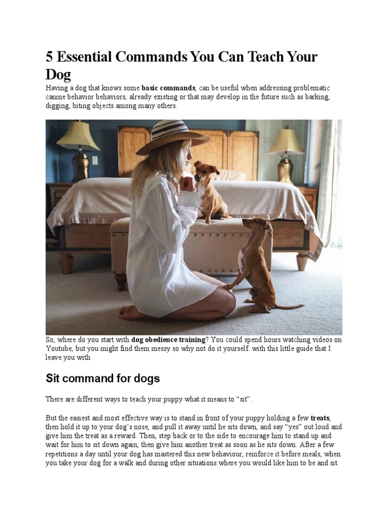5 Essential Commands You Can Teach Your Dog | PDF | Dog Training | Dogs