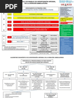 Anexo 8 Pronam Has Infografía | PDF | Presión sanguínea ...