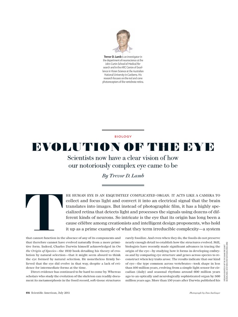 Evolution of The Eye Trevor Lamb | PDF | Eye | Retina