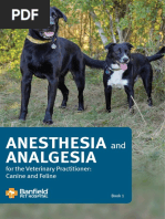 2020, Grubb Et Al., 2020 AAHA Anesthesia and Monitoring Guidelines For ...