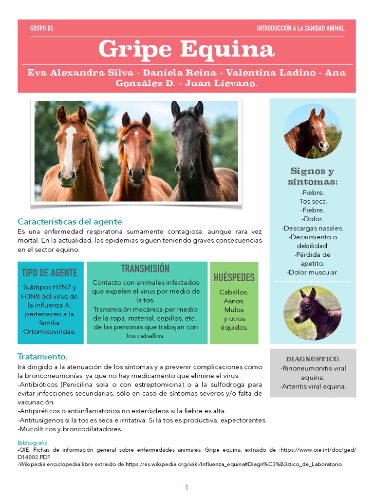 Gripe Equina | PDF | Influenza | Enfermedades animales