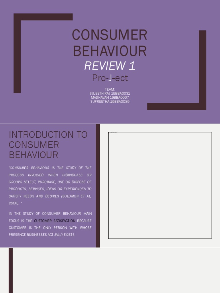 Consumer Behaviour: Review 1 | PDF | Computer Security | Security