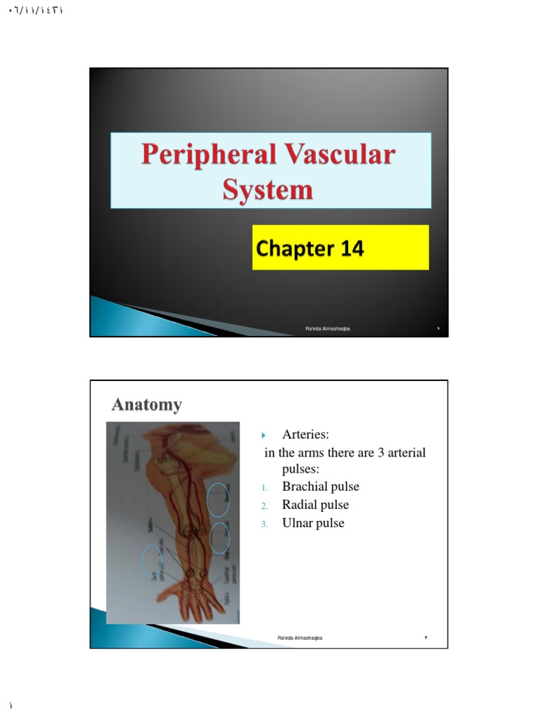 Assessment of Peripheral Vascular System: Arterial and Venous Pulses ...