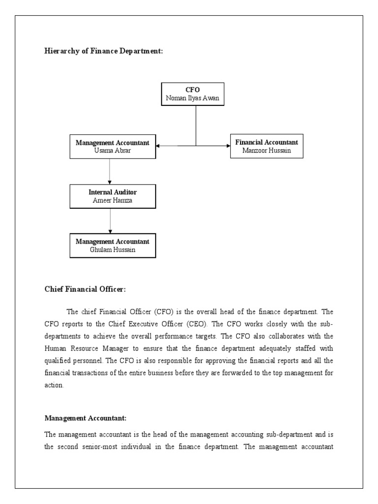 Hierarchy of Finance Department | PDF | Internal Audit | Financial ...