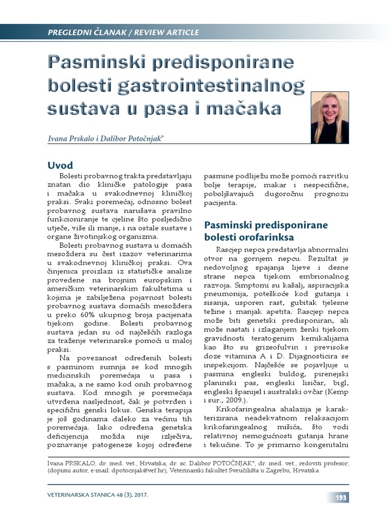 Prskalo Pasminski Predisponirane Bolesti | PDF