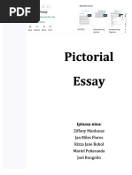 Pictorial Essay | PDF