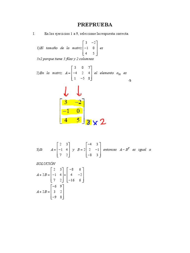 Ejercicios Matrices | PDF | Matriz (Matemáticas) | Teoría del operador