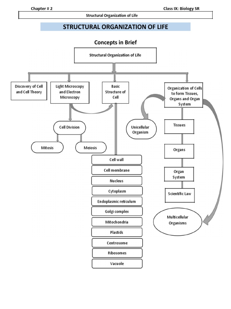 Structural Organization of Life: Concepts in Brief | PDF | Mitosis ...