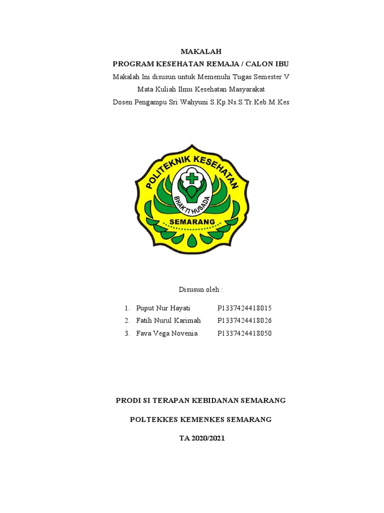Program Kesehatan Remaja dan Calon Ibu | PDF