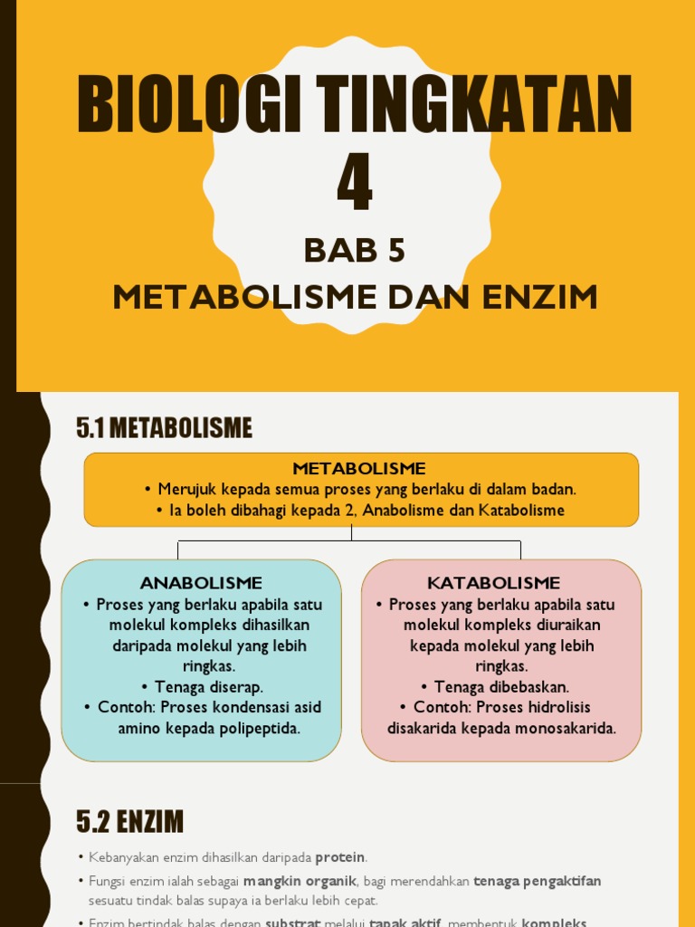 Bab 5 Metabolisme Dan Enzim | PDF