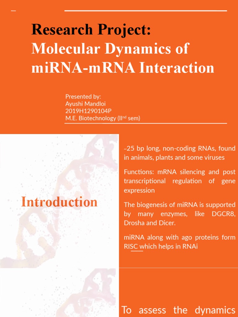 Research Project:: Molecular Dynamics of Mirna-Mrna Interaction | PDF ...