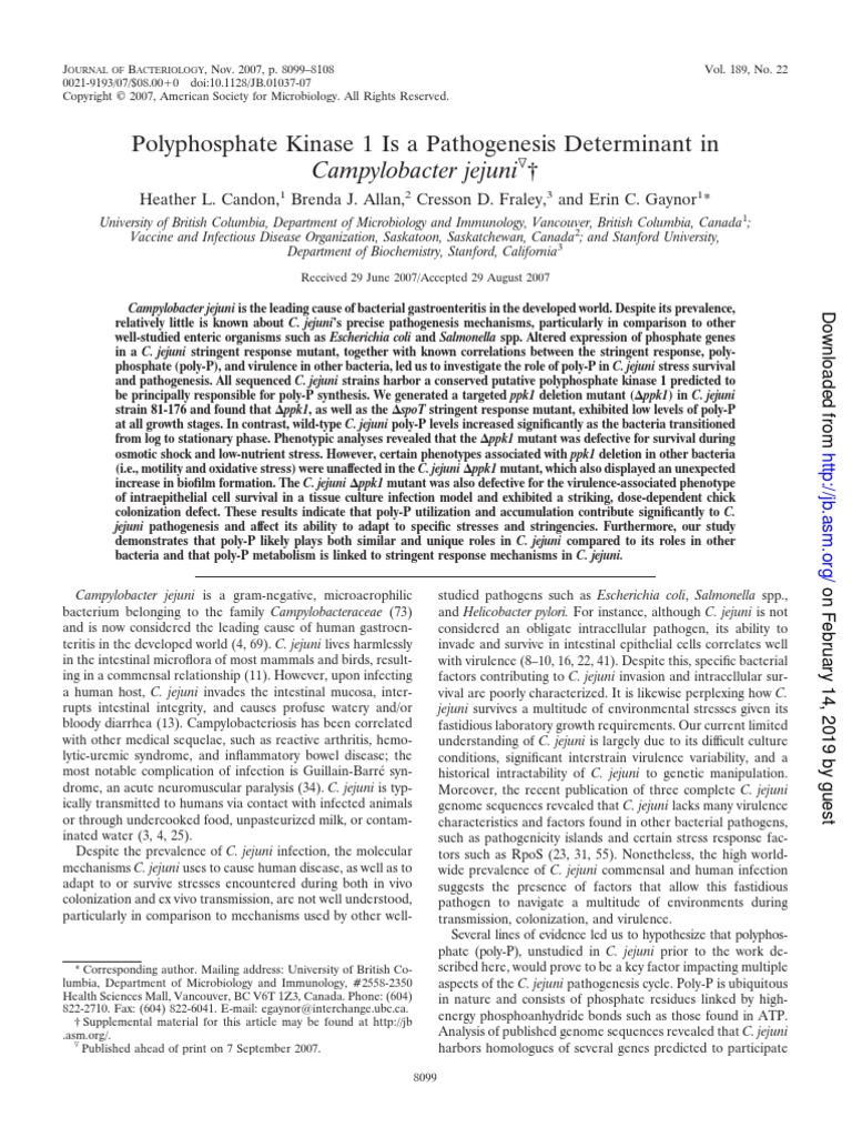 Polyphosphate Kinase 1 Is A Pathogenesis Determinant in Campylobacter ...
