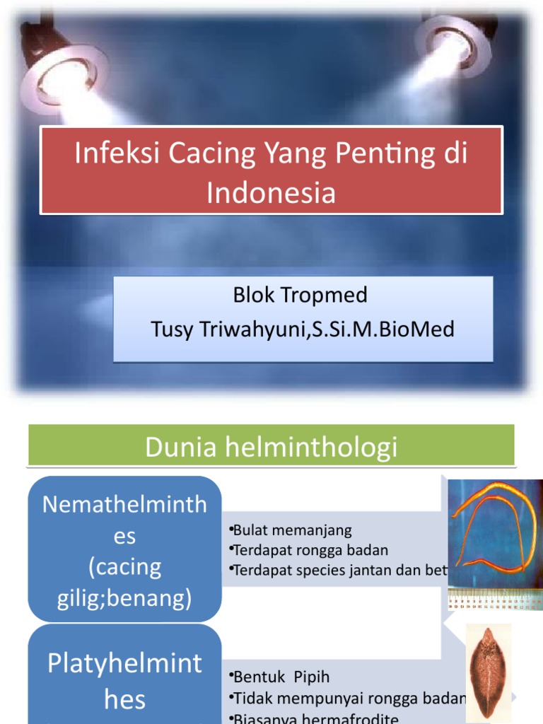 Infeksi Cacing Yang Penting Di Indonesia | PDF | Medicine | Diseases ...
