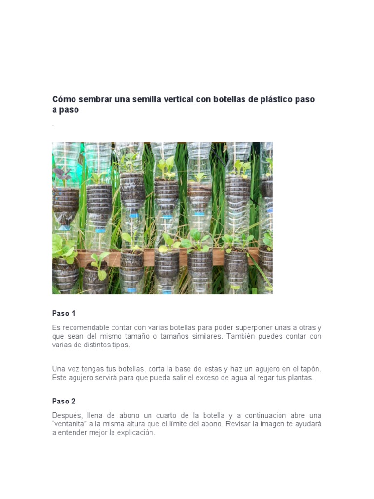 Cómo Sembrar Una Semilla Vertical Con Botellas de Plástico Paso A Paso ...