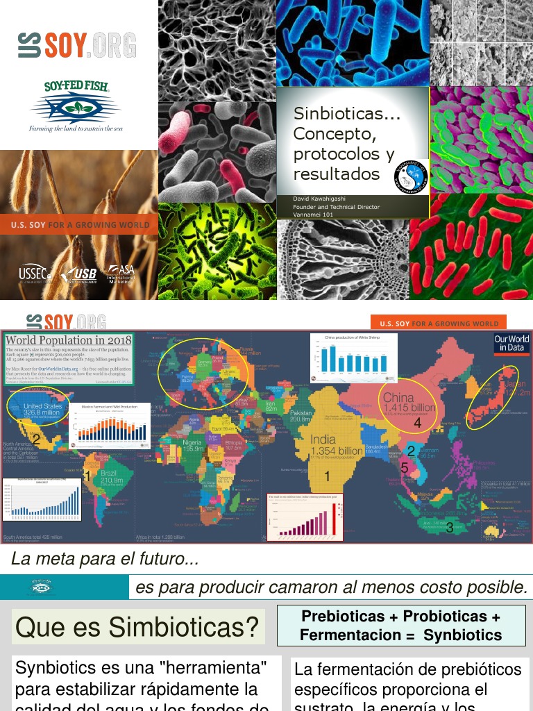 Simbiotica PDF | PDF | Nutrientes | Haba de soja