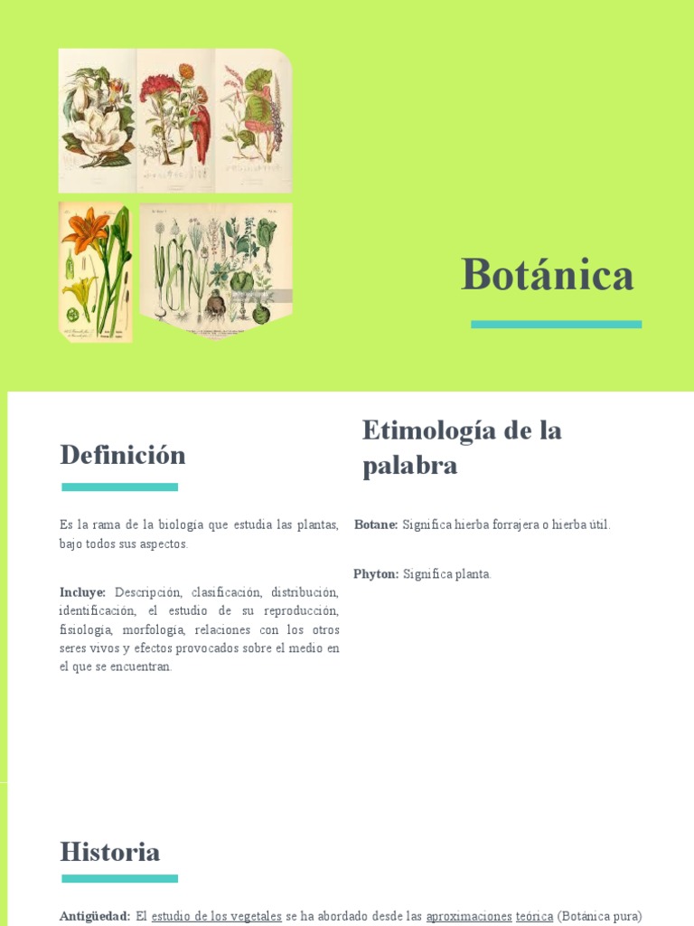 Botánica | PDF | Botánica | Biología