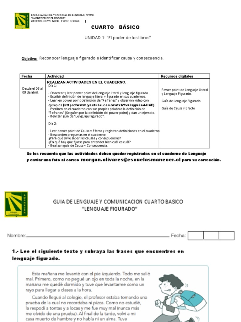 Lenguaje Figurado y Causa - Efecto | PDF