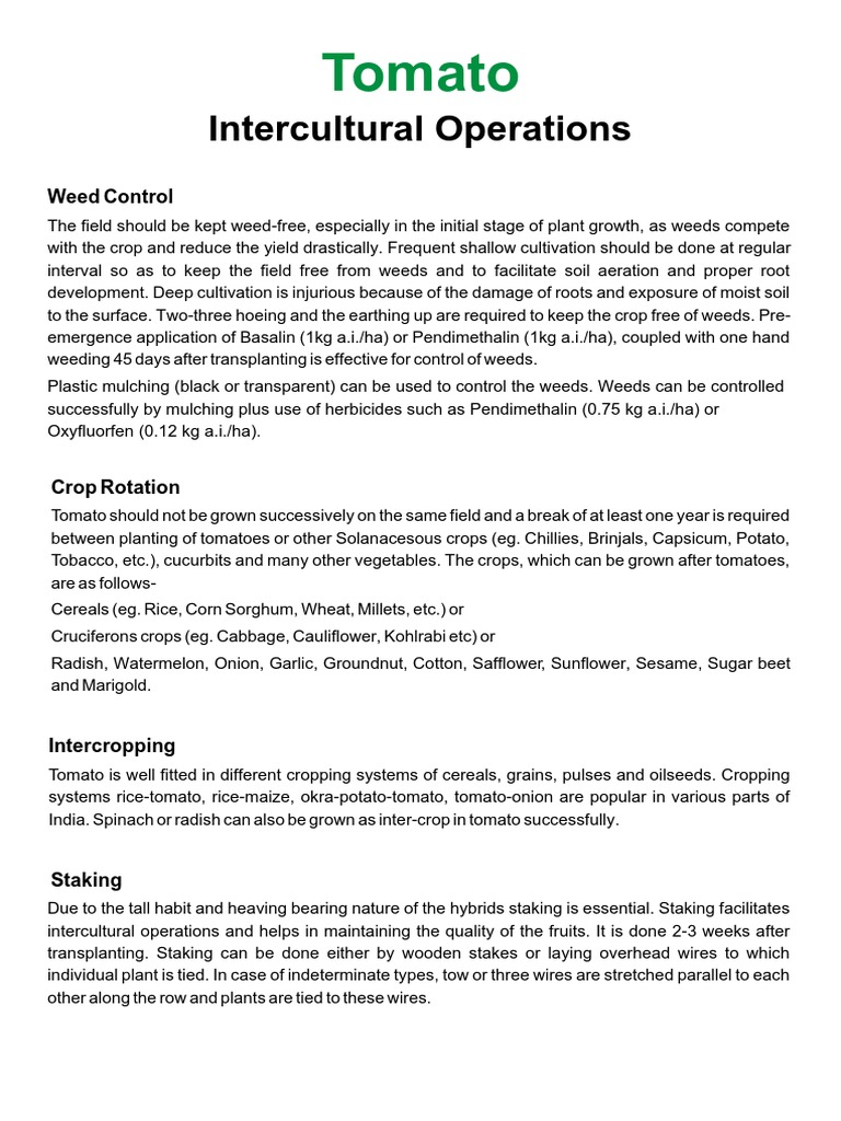 Intercultural Operations PDF | PDF