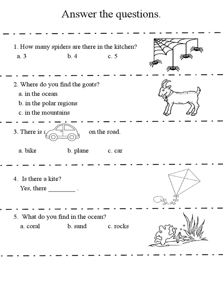 Answer The Questions | PDF