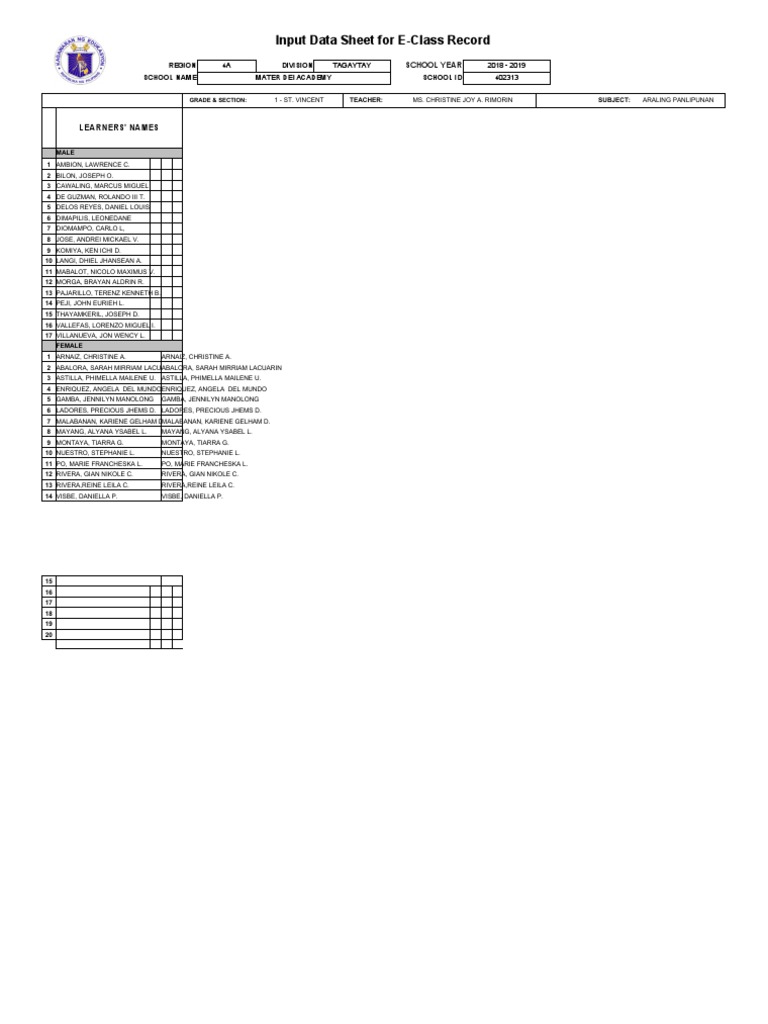 Input Data Sheet For E-Class Record: Learners' Names | PDF
