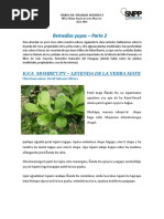 Leyenda Del Kaa | PDF