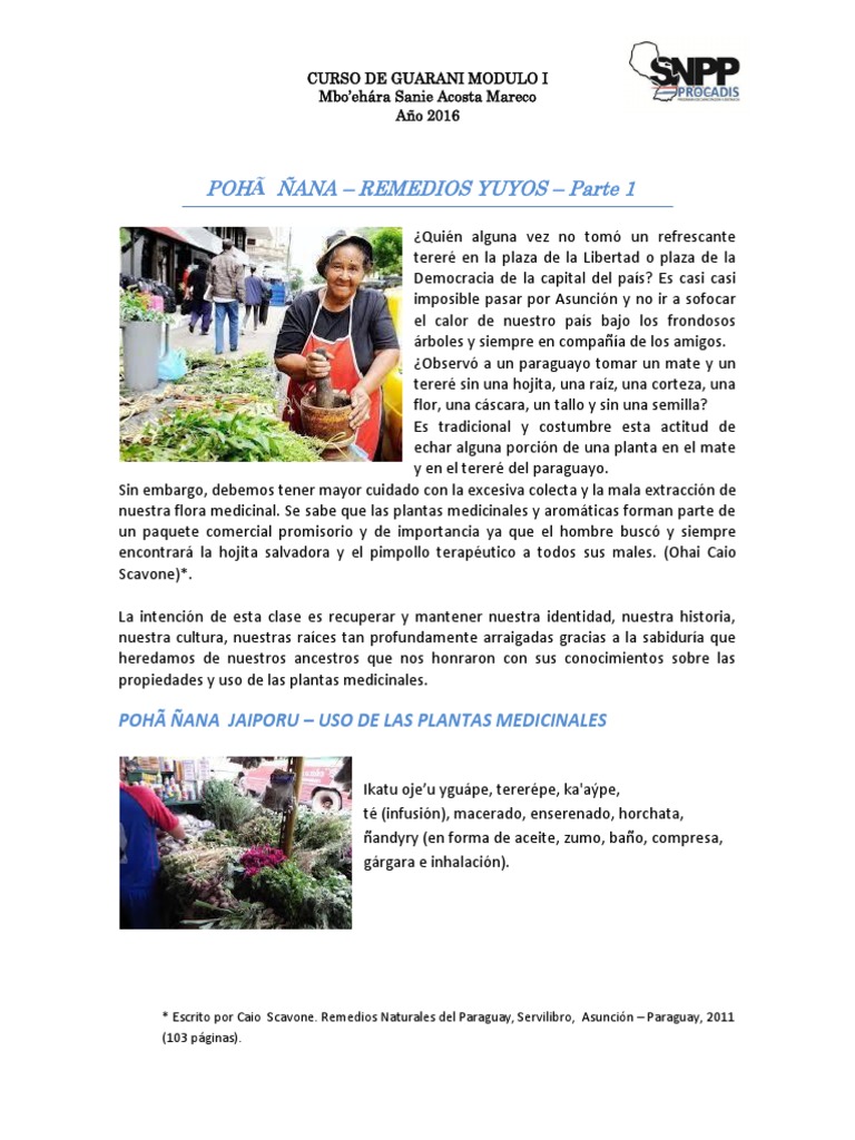 POHÃ ÑANA - Remedios yuyos y sus usos tradicionales | PDF | Naturaleza ...