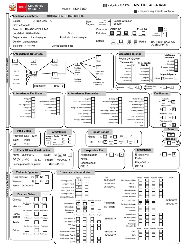 Control Prenatal 1 | PDF | Embarazo humano | La salud de la mujer