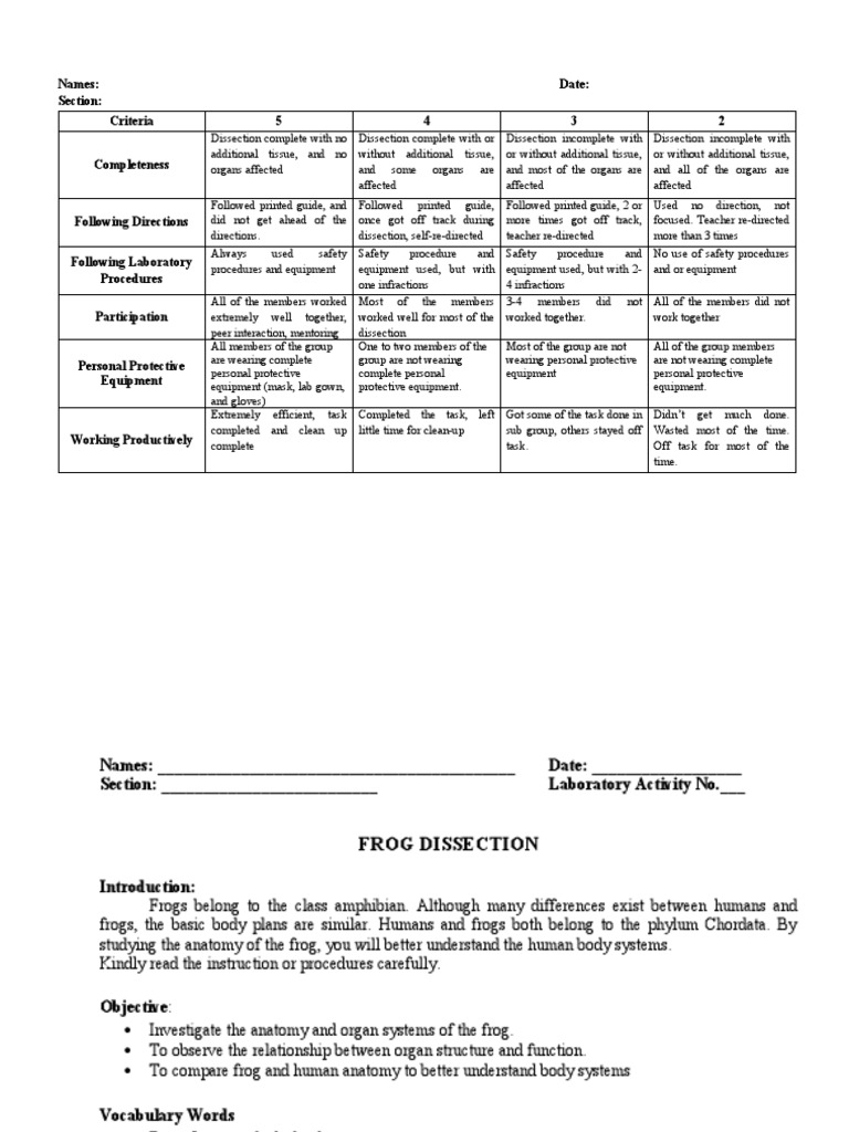 LABORATORY ACTIVITY No. 4 - FROG DISSECTION | PDF | Frog | Stomach