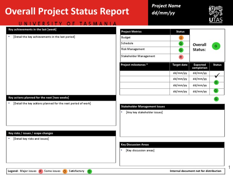 Overall Project Status Report | PDF | Business