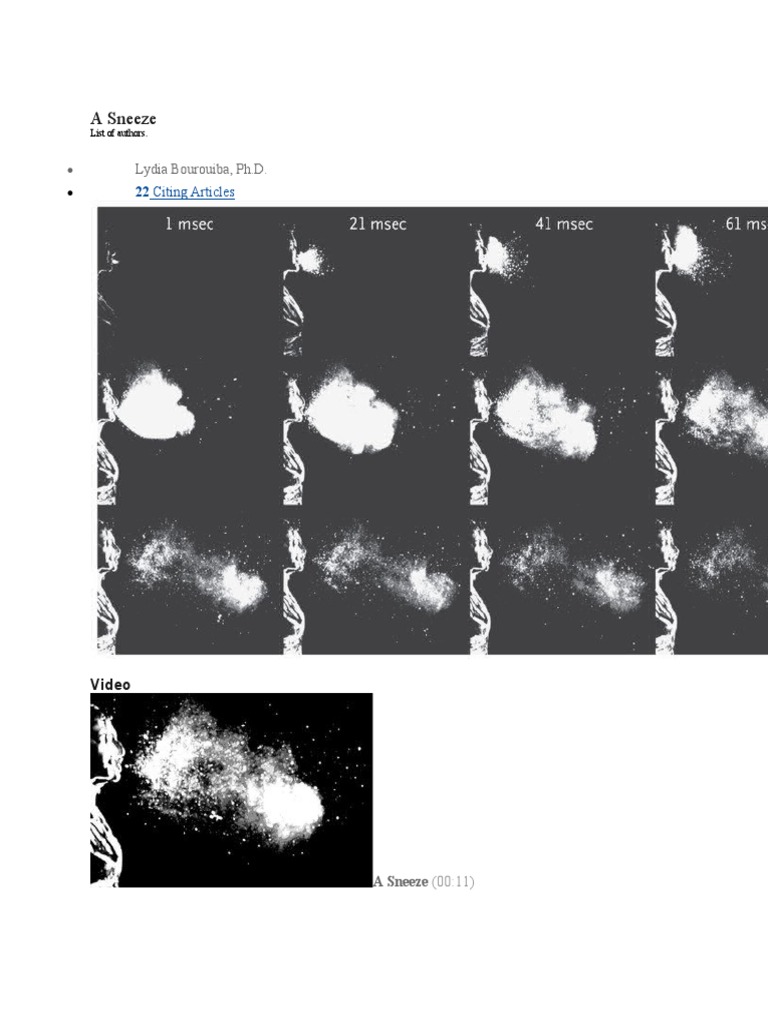 High-Speed Video of Human Sneeze Dynamics | PDF