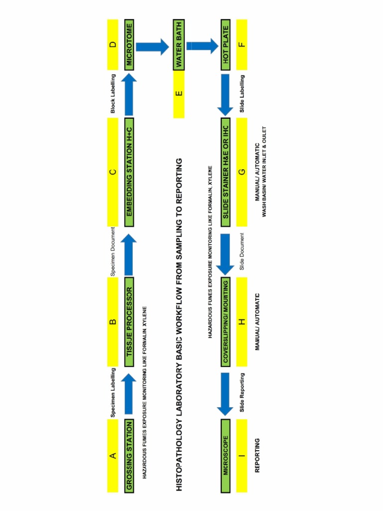 Histopathology Workflow Lab Design+ Laboratory Setup Diagram