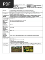 Detailed Lesson Plan - Aral Pan | PDF