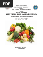 Ragdoll Method | PDF | Seed | Germination