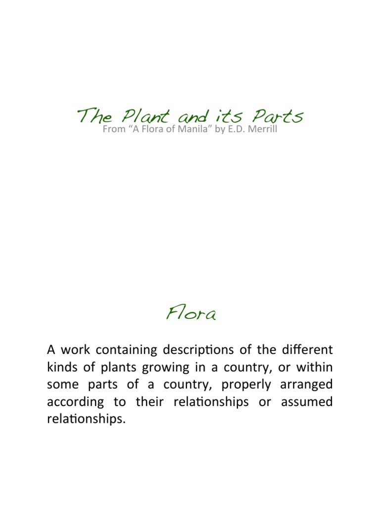 Flora of Manila: Plant Classifications | PDF | Leaf | Shrub