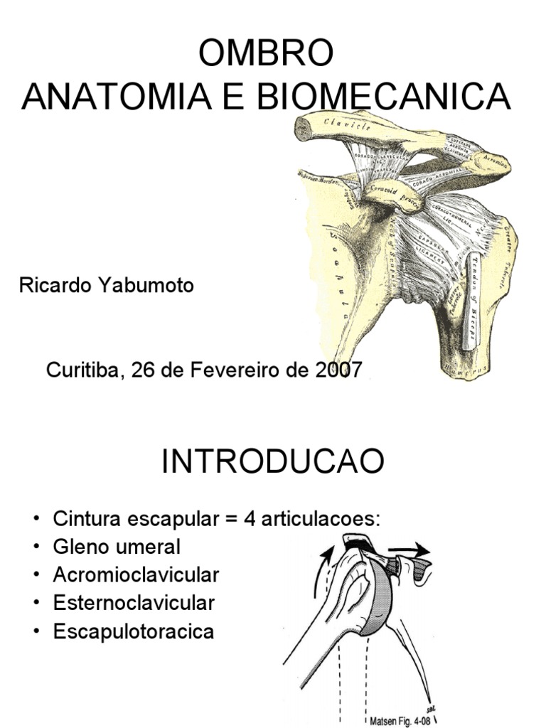 Anatomia e Biomecanica Do Ombro | PDF | Sistema Locomotor | Anatomia humana