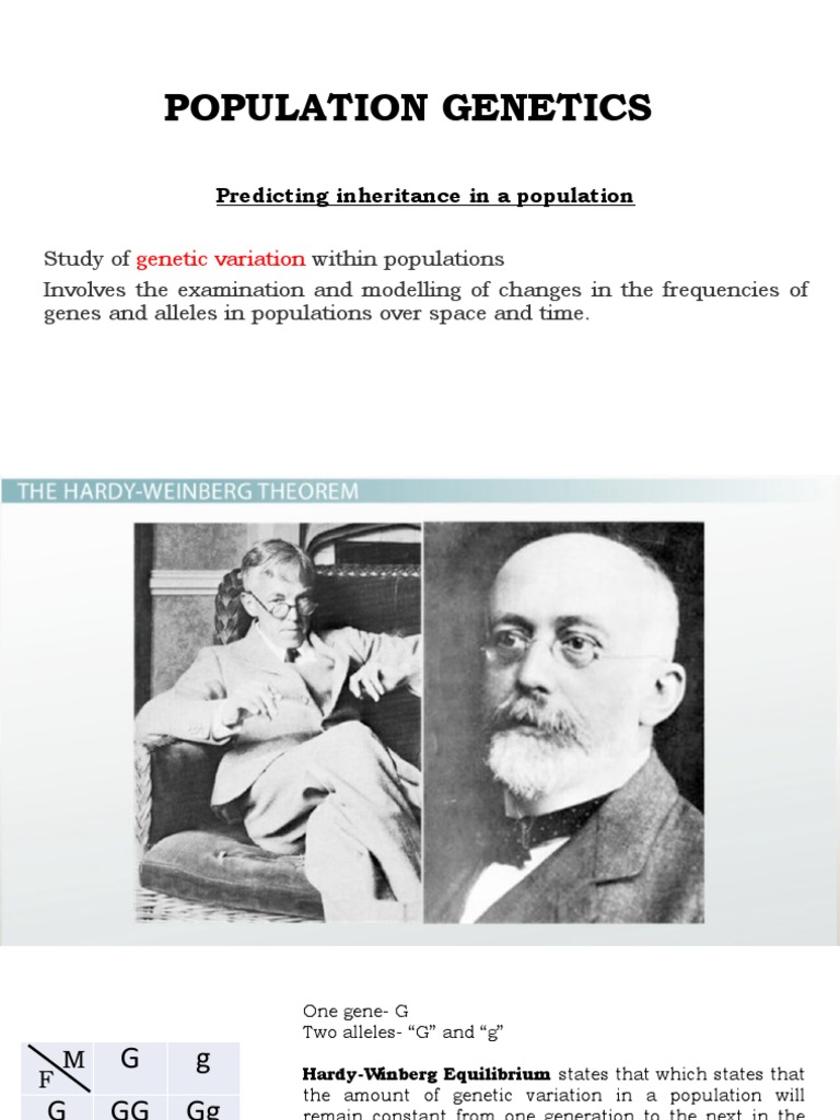 Population Genetics: Predicting Inheritance in A Population | PDF ...
