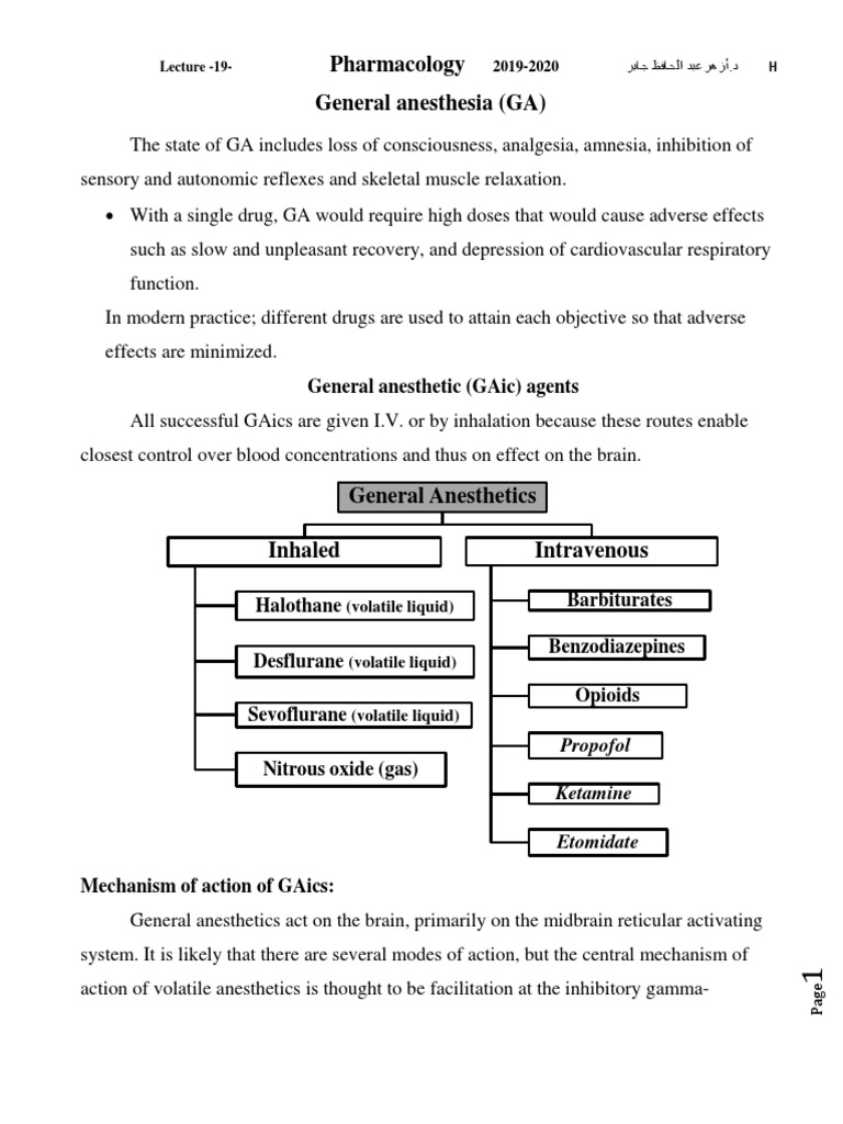 Lect 19 General Anesthesia | PDF | Anesthesia | Pharmacology