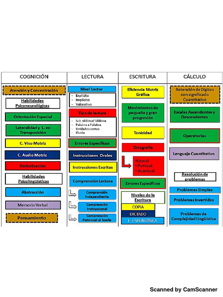 Cuadro Cognitivo | PDF