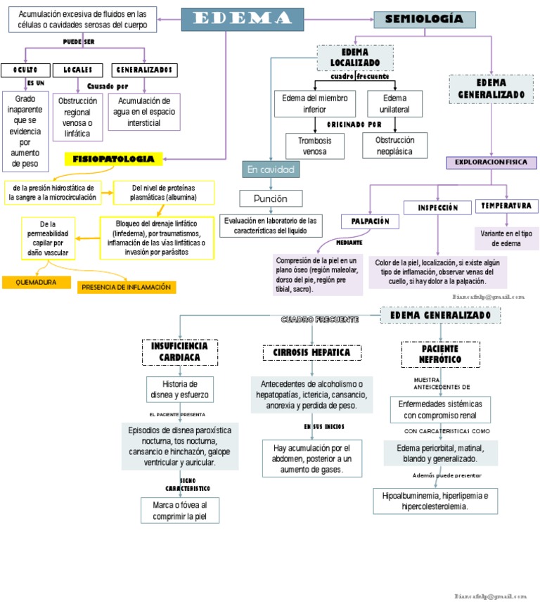 Edema - Mapa Conceptual 2019 | PDF | Edema | Especialidades Medicas