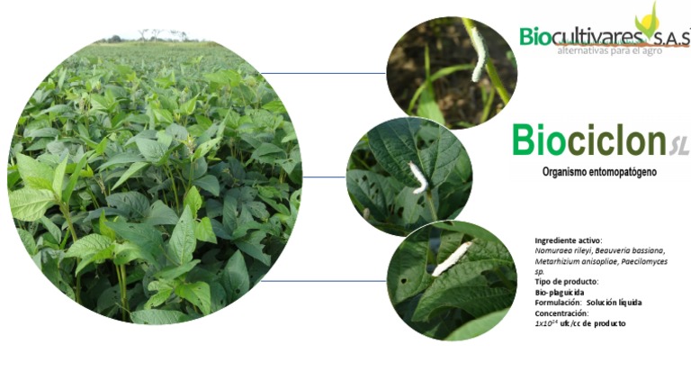 Presentación BIOCICLON | PDF
