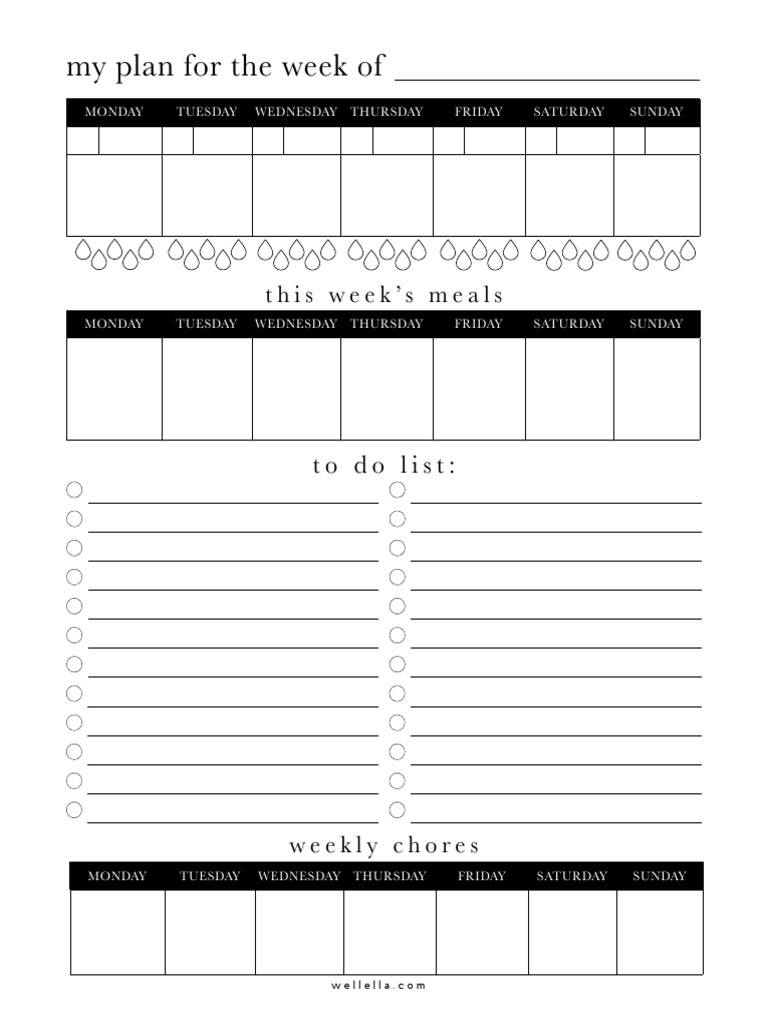 My Weekly Plan PDF | PDF