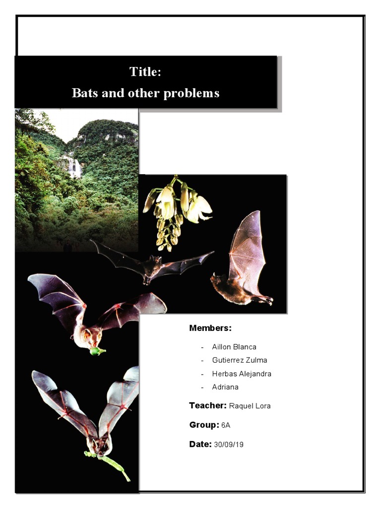 Title: Bats and Other Problems: Members | PDF | Bat | Organisms