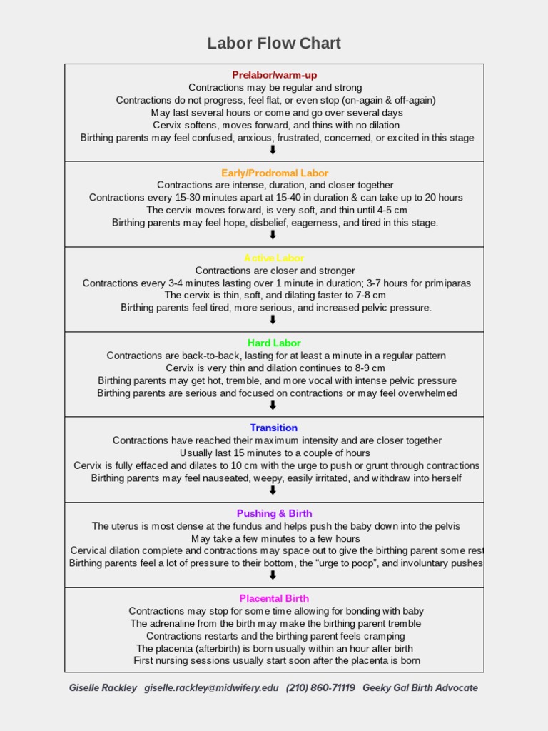 Labor Flow Chart GGR | PDF | Childbirth | Uterus
