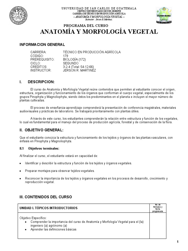 Anatomía y Morfologia Vegetal | PDF | Raíz | Tallo de la planta