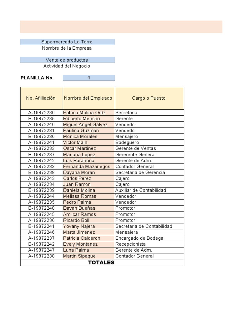 Planilla en Excel | PDF
